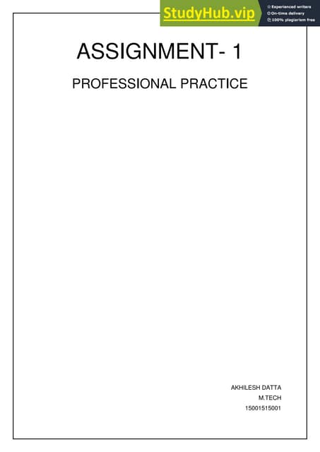 Assignment 1 Professional Practice Pdf