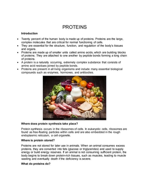 Protein as a Biomolecule | PPTX