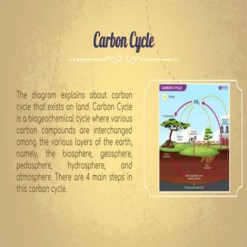 assignment carbon cycle that exists on land | PPT