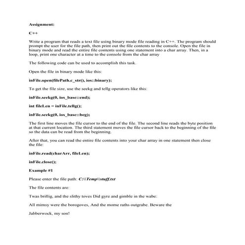 Assignment C Write A Program That Reads A Text File Using Binary Modocx 8346