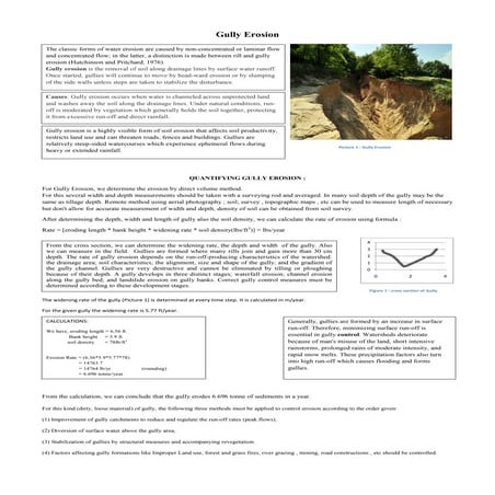 Gully classification and its contol measures | PDF