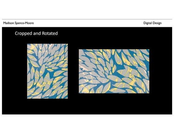 Assignment 02 - Natural Hair in the Workplace | PPT