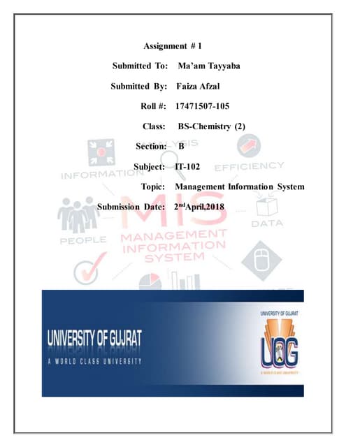 Management Information System | PPSX