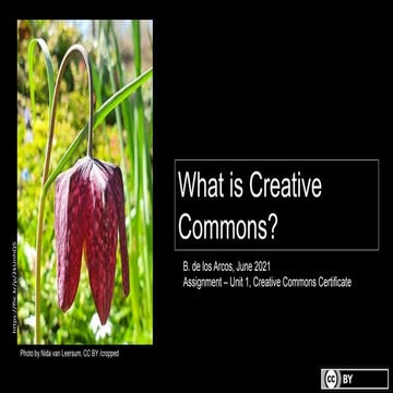 What is Creative Commons? | PPT