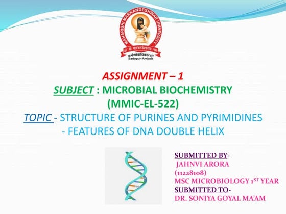 DNA structure and types | PPT