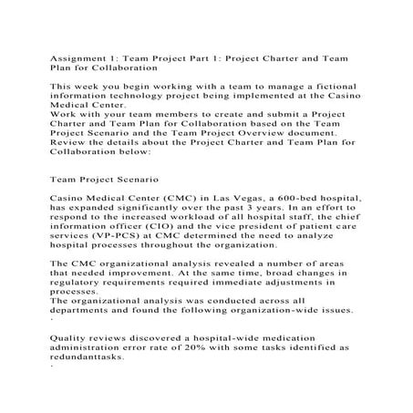 Assignment 1 Team Project Part 1 Project Charter and Team Plan f.docx