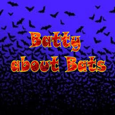 Batty about Bats | PPT