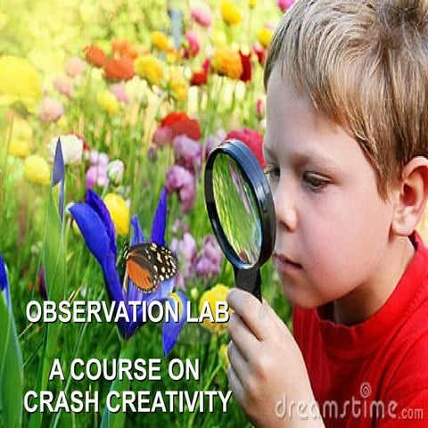 Crash Course on Creativity - Observation Lab | PDF