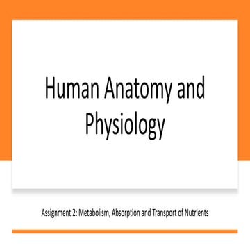 Human Anatomy and Physiology | PPT