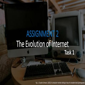 ASSIGNMENT 2 - The Evolution of internet | PDF