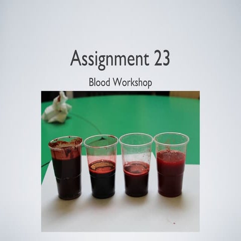 Assignment 23 | PPT