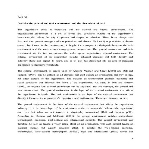 Assignment 2 external environment | DOCX