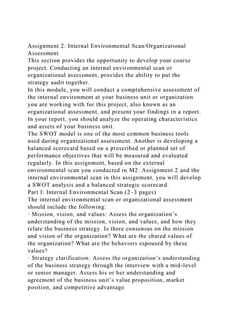 Assignment 2 Internal Environmental Scanorganizational Assessmen Docx