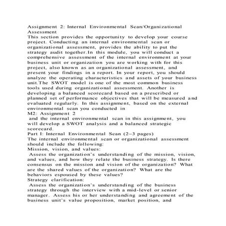 Assignment 2 Internal Environmental Scanorganizational Assessment Pdf