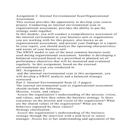 Assignment 2 Internal Environmental ScanOrganizational Assessment.docx
