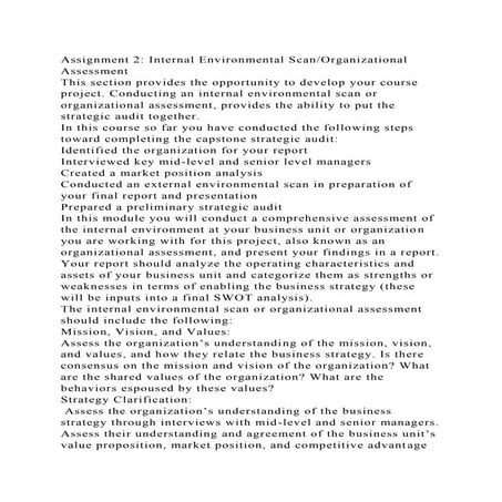 Assignment 2 Internal Environmental ScanOrganizational Assessment.docx