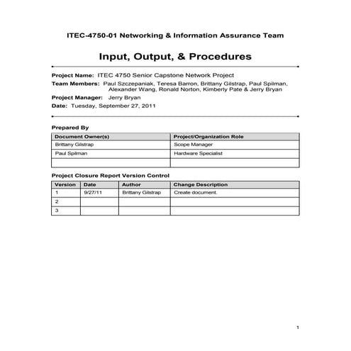 Input, Output, and Procedures | DOCX