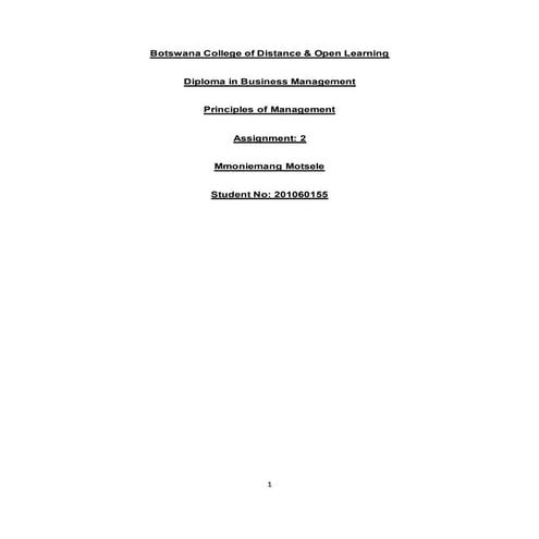 Assignment 2 principles of management | PDF