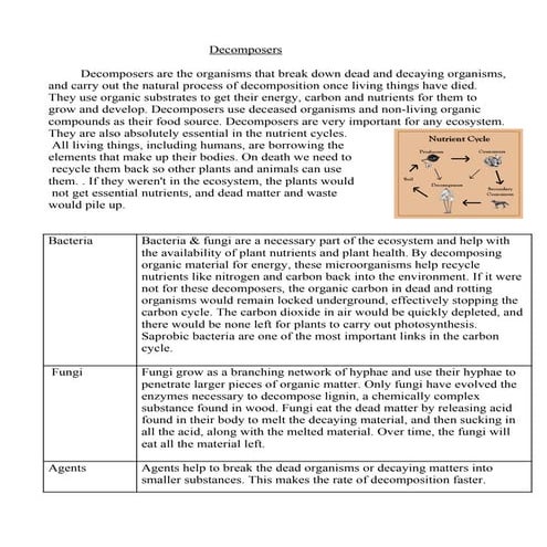 Decomposers | DOC