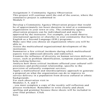 Assignment 3 Community Agency ObservationThis project will contin.docx