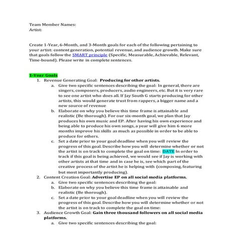 Artist Management - Artist Analysis & 1-Year Goal Planning | DOCX