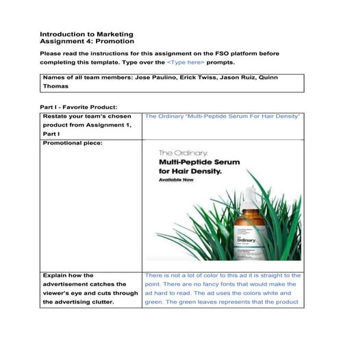 TeamAssignment4_Promotion.docx