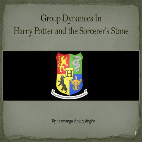 Harry Potter and Group Dynamics | PPT