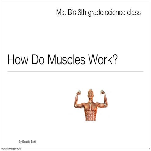 Assignment 6 how muscles work | PDF