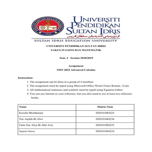 Assignment calculus (repaired) | PDF | Physics | Science