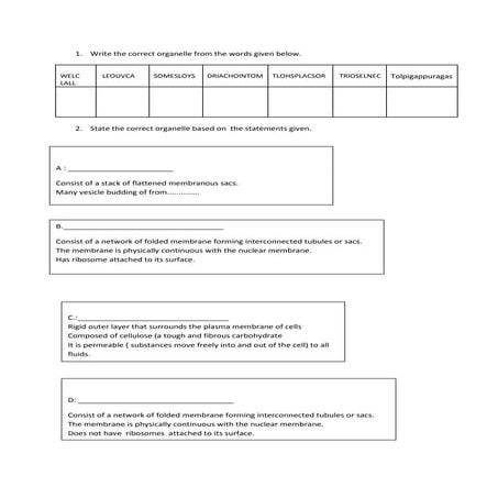 Assignment Cell Organelle Pdf 