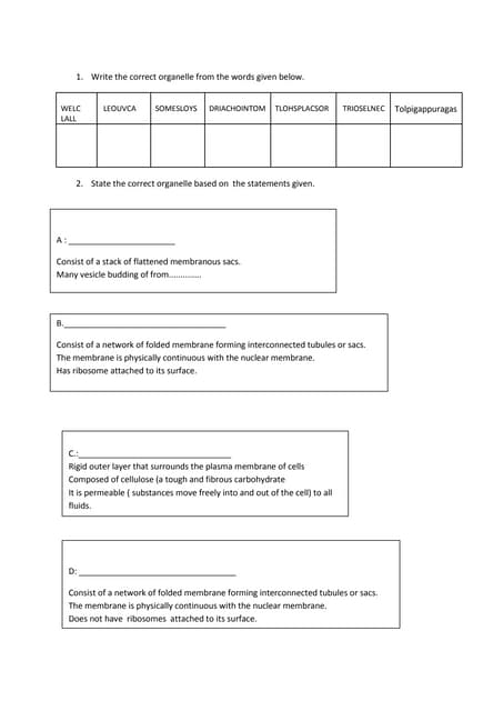 Assignment Cell Organelle Pdf