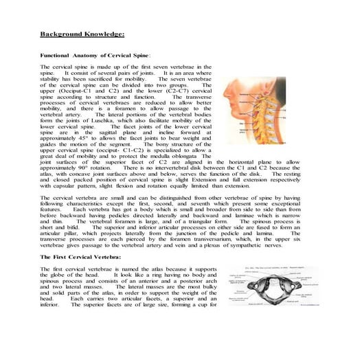 Assignment cervical spine | DOCX
