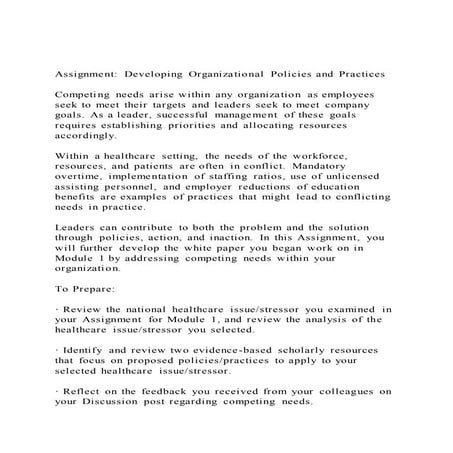 Assignment Developing Organizational Policies and Practices | DOCX