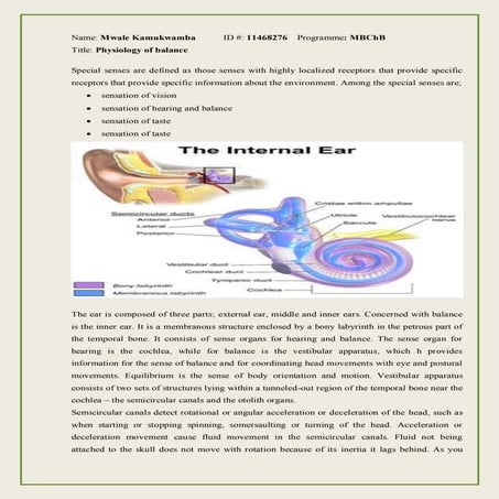 Assignment ent physiology of balance | PDF | Ear, Nose and Throat ...