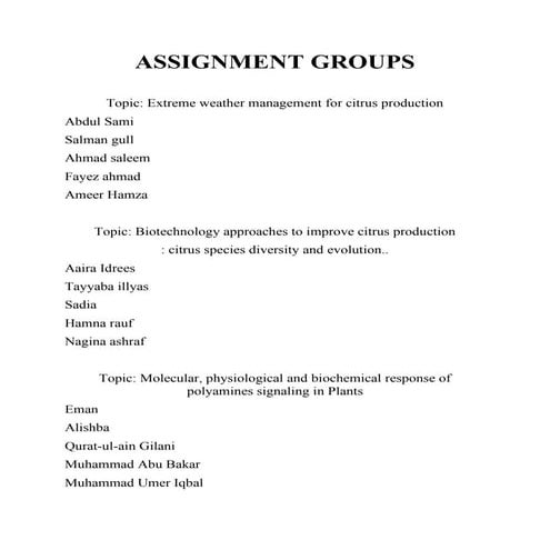 ASSIGNMENT GROUPS.pdf
