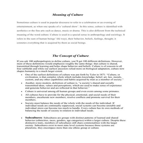 Assignment on culture | PDF