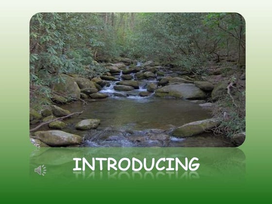 Who Are the Avoyel-Taensa Tribe/Nation of Louisiana? By Andre Dobison | PPT