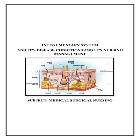 Integumentary System And It's Disease Conditions | DOCX