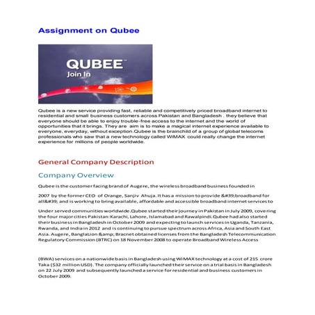 Assignment on qubee | DOCX