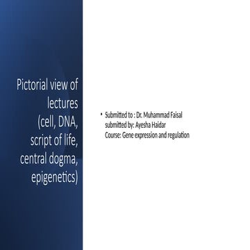 DNA Central Dogma Transcription Translation Translocation Process ...