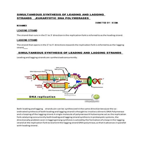 Lagging and leading strand synthesis ,Eukaryotic dna polymerases | DOCX