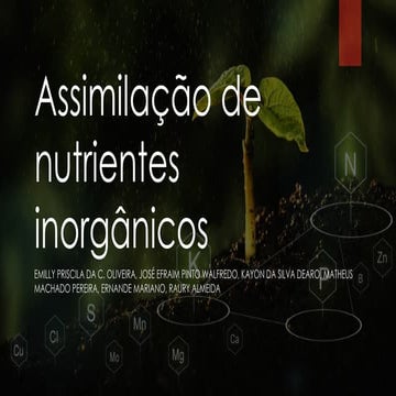 Assimilação_de_nutrientes_inorgânicos[1].pptx