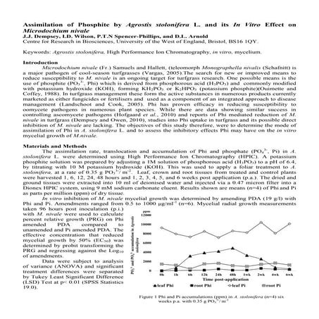 Assimilation Of Phosphite By A. Stolonifera L. And Its In Vitro Effect ...
