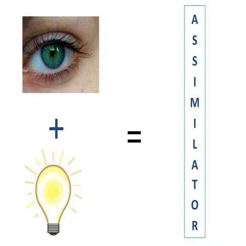 Assimilator Powerpoint | PPTX