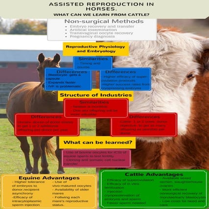 Assisted Reproduction in Horses | PDF
