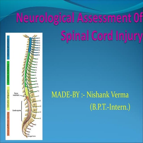 Assessment of the spinal cord injury patients | PPT