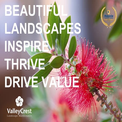 ValleyCrest Landscape Associa 2011 loop final | PPT
