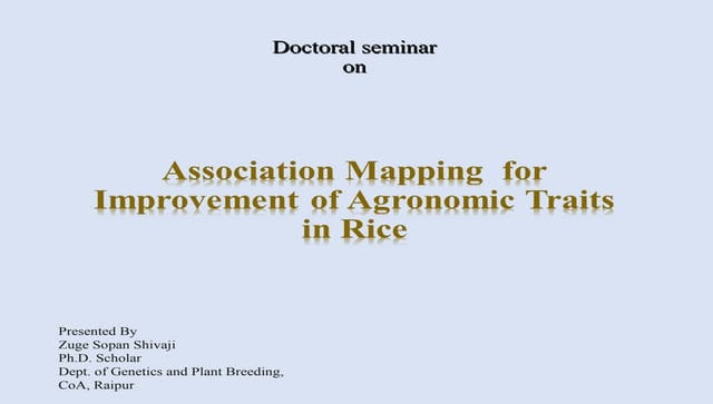 Introduction To Association Mapping And Tutorial Using Tassel Ppt