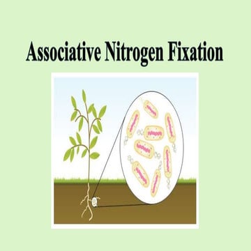 Nitrogen fixation | PPTX