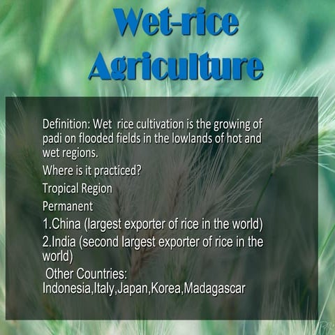 WET RICE CULTIVATION | PPTX